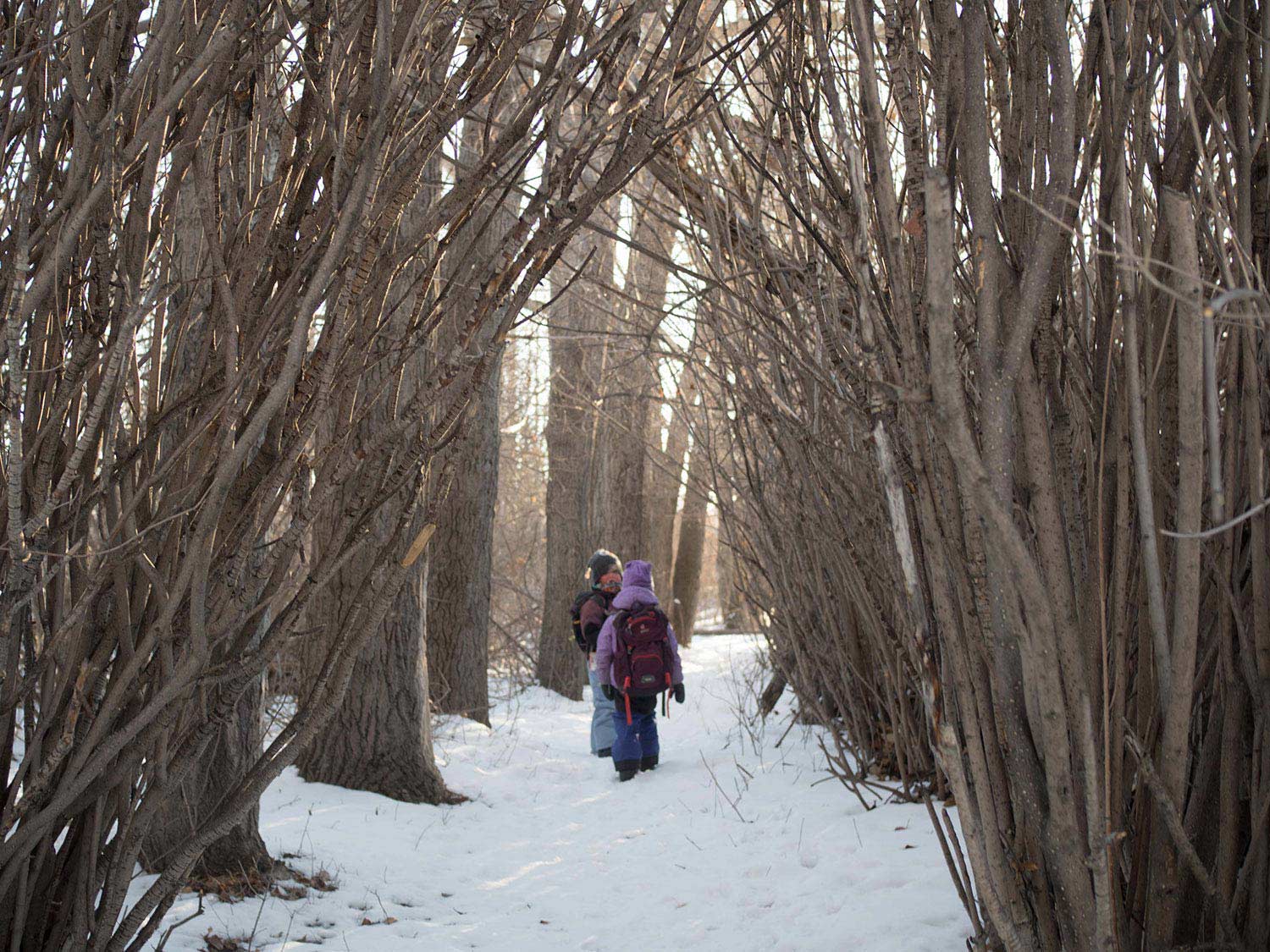 Forest Schools Let Kids Play Like the Planet Depends on It - Asparagus ...