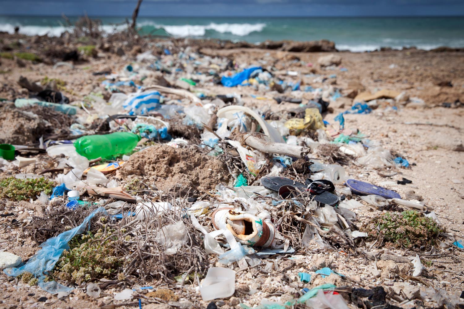 7 Ways to Cut Plastic at Home - Asparagus Magazine